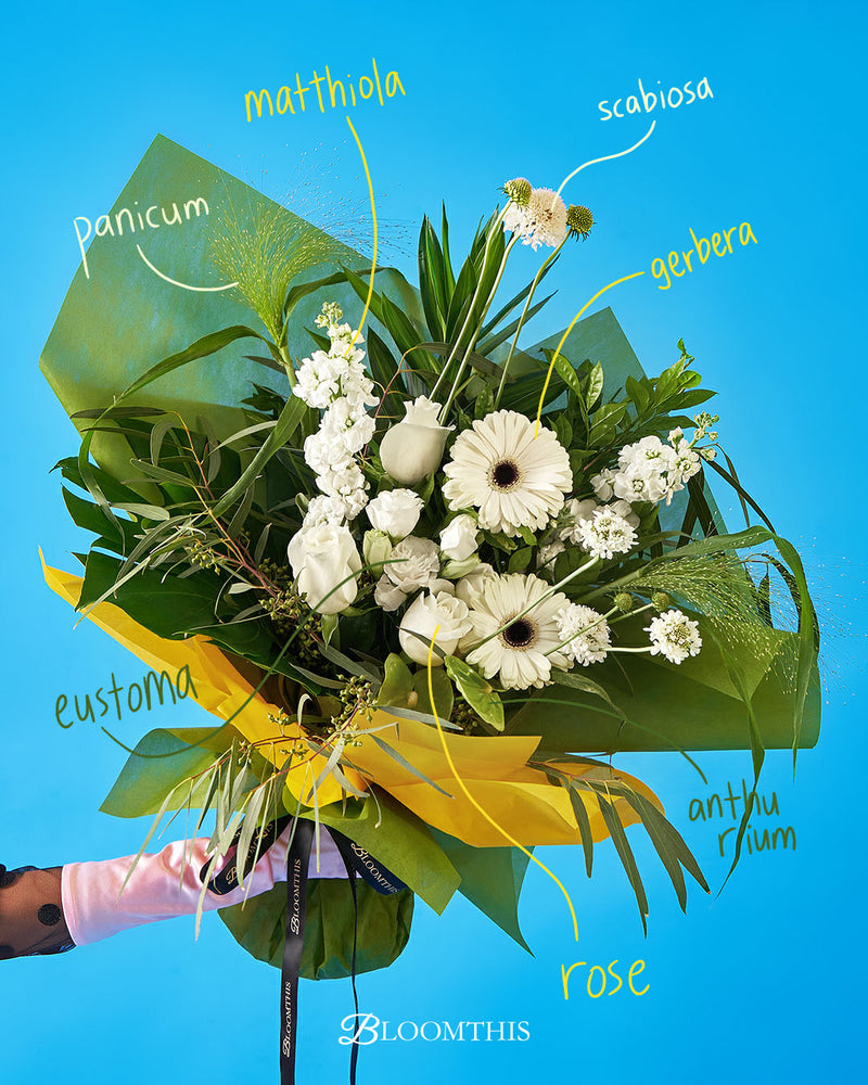 The Queen of Roses: Ecuadorian Roses