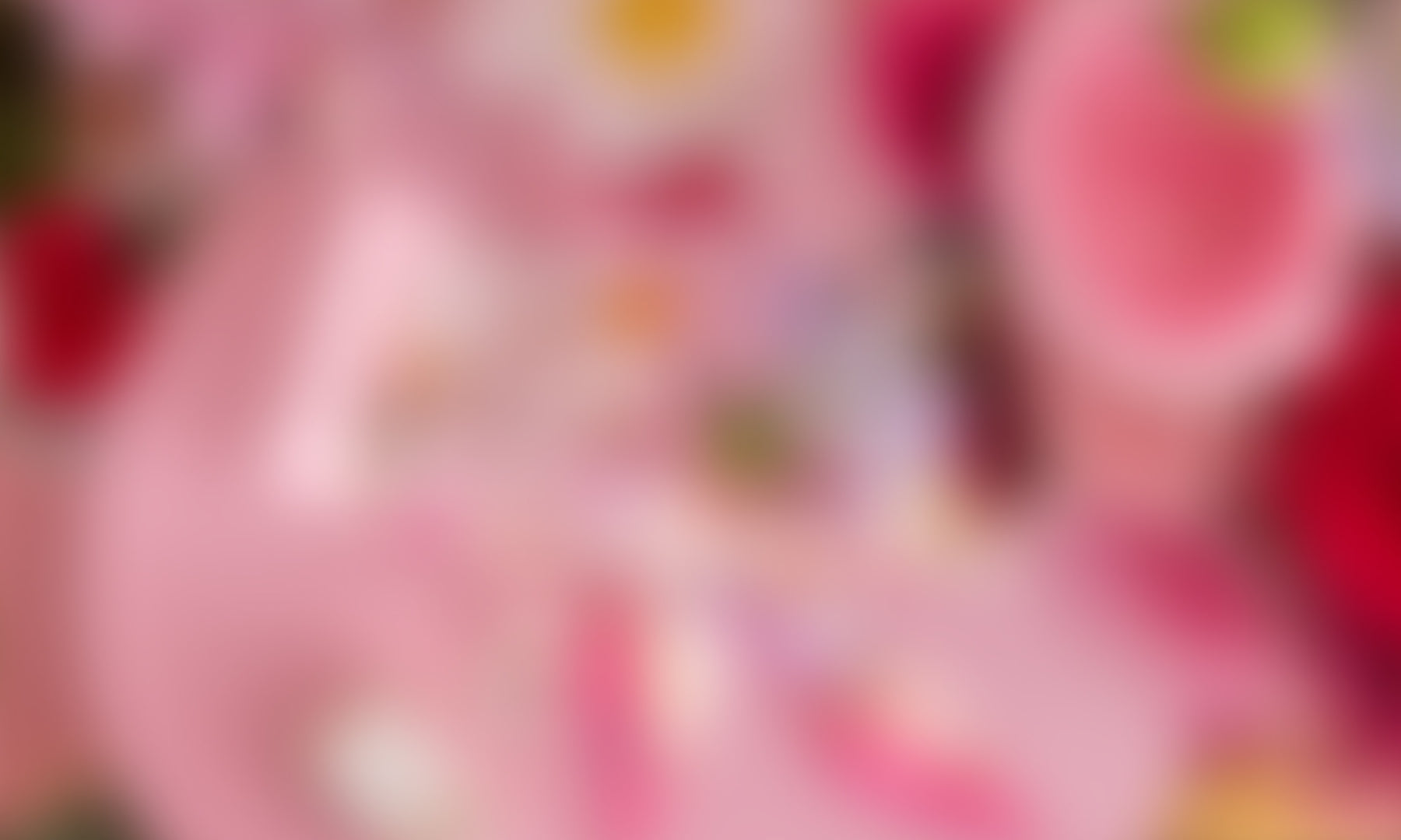 🌸 Kate Spade Bloom x Bloomthis | Free Same-Day Delivery - Bloomthis