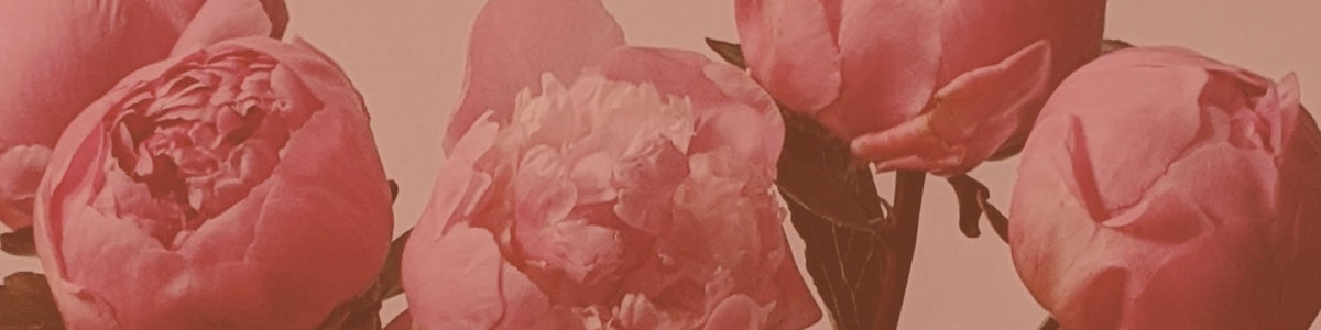 Rewards | BloomThis - Online Florist