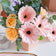 Naomi Pink Gerbera Flower Box | Free Delivery | Bloomthis