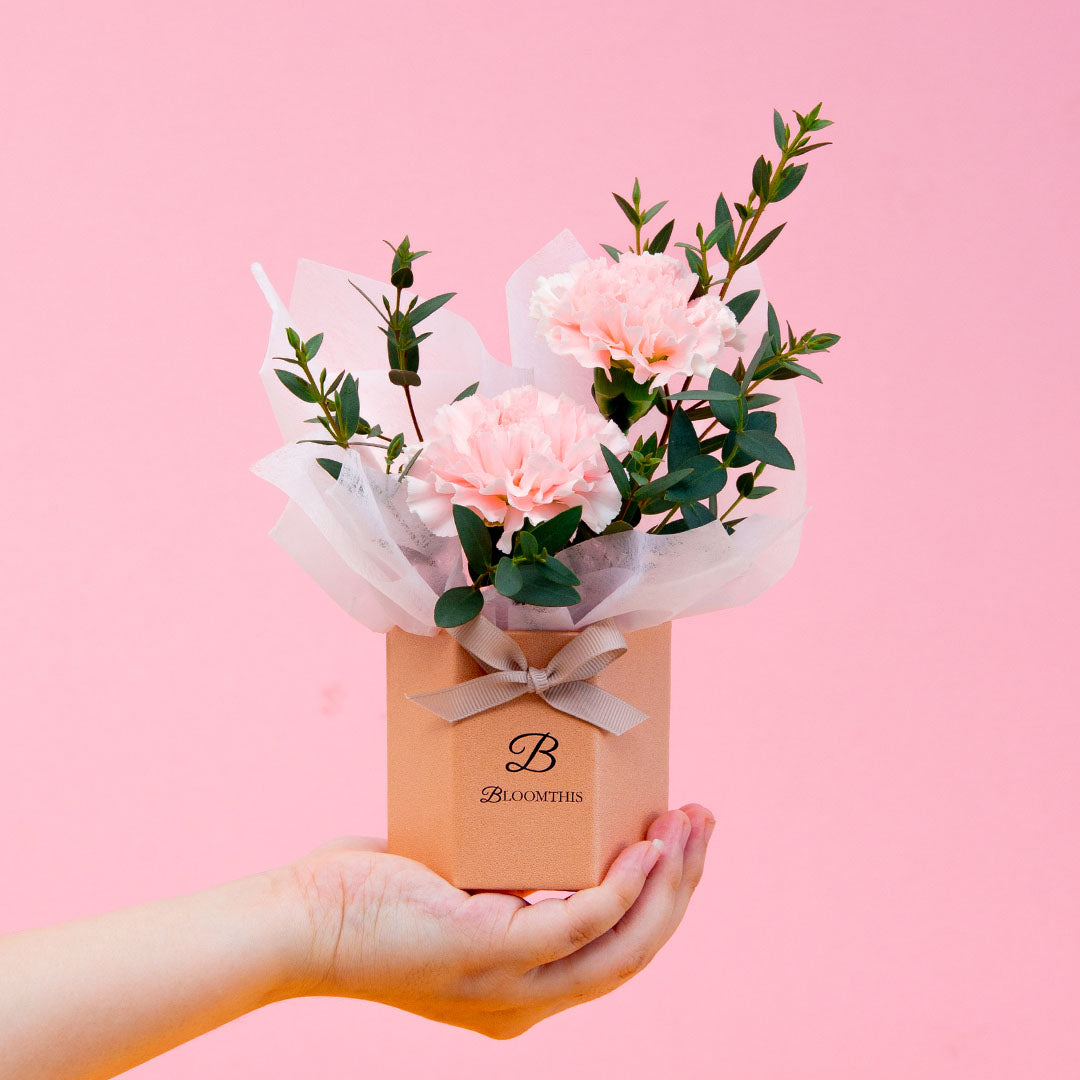Waverly Carnation Mini Flower Box | Free Delivery | Bloomthis
