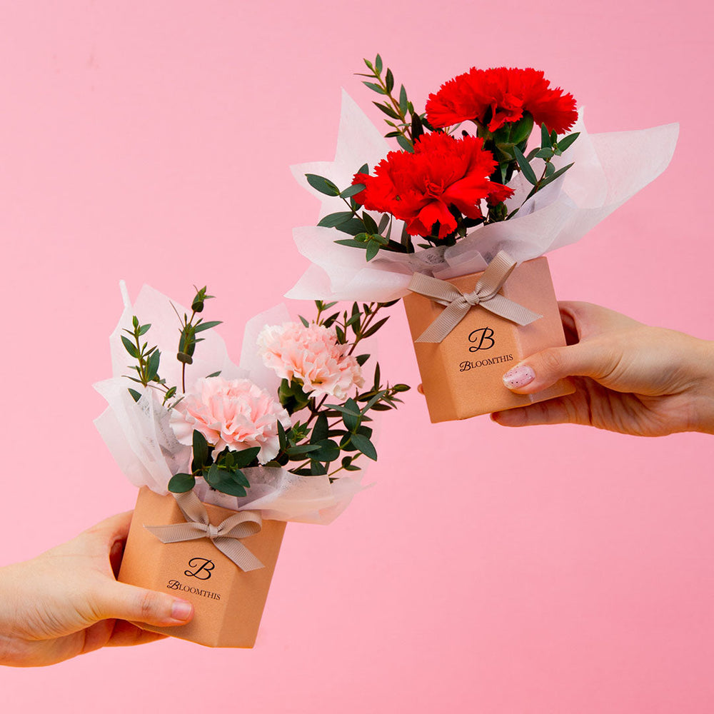 Waverly Carnation Mini Flower Box | Free Delivery | Bloomthis