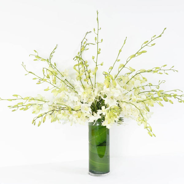 Gorgeous Decor Flowers & Plants | Free Same-Day Delivery - BloomThis